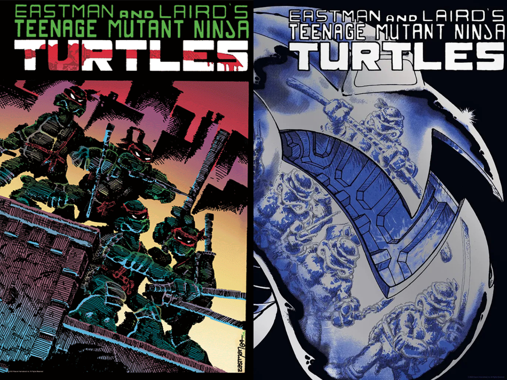 TMNT #1 & #2 - BNG X ISH - Poster Pirate